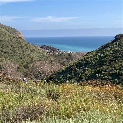 Sycamore Canyon Campground — Point Mugu State Park Malibu Ca