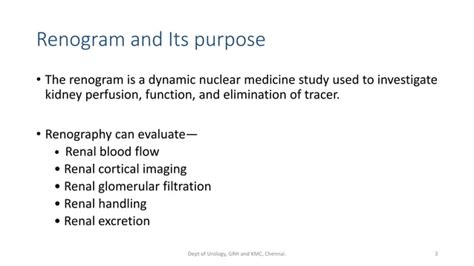 Renogram Pdf Blood Disorders Diseases And Conditions