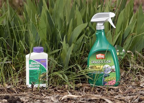 How To Defeat Quackgrass And Crabgrass In Lawns And Landscapes