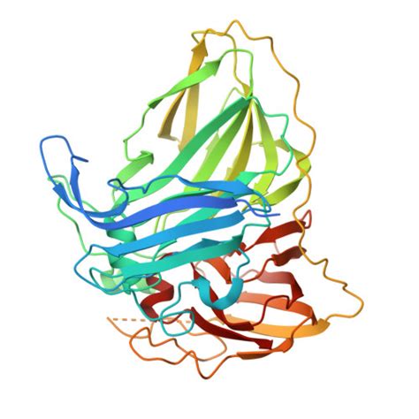 Rcsb Pdb 6vow Crystal Structure Of Multi Copper Oxidase From Pseudomonas Thermotolerans