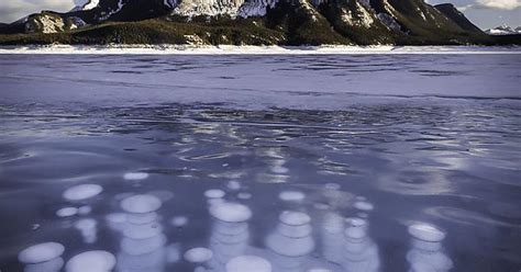 These Frozen Bubbles Of Methane Made An Eerie Form Of Natural Art In Alberta Canada 1440 ×