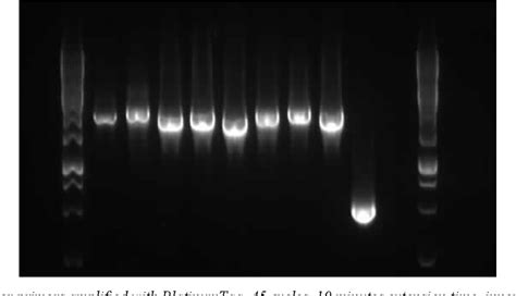 Figure 1 From Development Of A Massive Parallel Sequencing Method For Population Genetics For