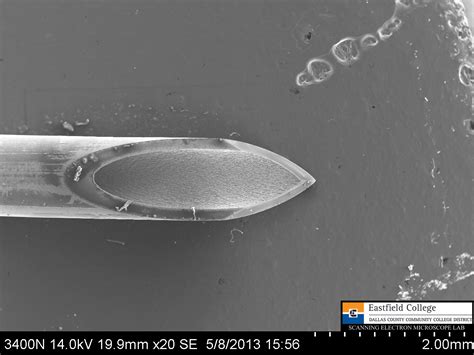Scanning Electron Microscope Blog How Sharp Is A Hypodermic Needle