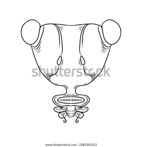 Green Fly Chibi Model Black White Stock Vector Royalty Free 2285341313 Shutterstock