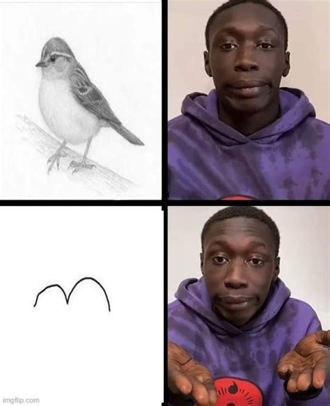 How To Draw A Bird Meme