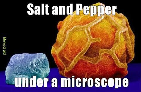 Microscope Memes The Best Microscope Memes Memedroid