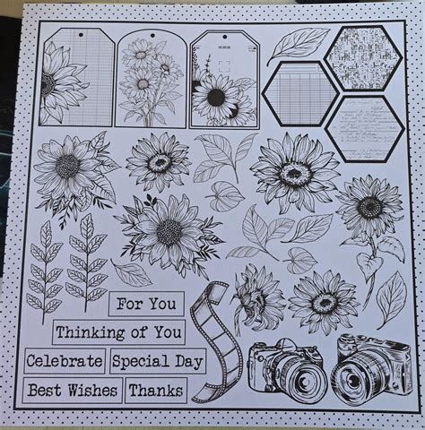 Bee Arty Happy Snaps 12x12 Single Colour And Cut Sheet Craft Expressions