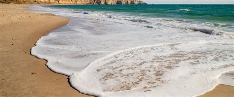 503950 Maslin Beachimpolicyfcropandw1200andh500andqmedium