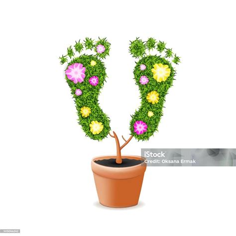 Green Grass Growth Chart In Flower Pot On White Background Three Bars