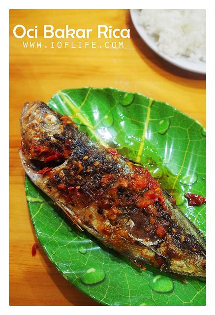 Oci Bakar Rica Budaya Indonesia