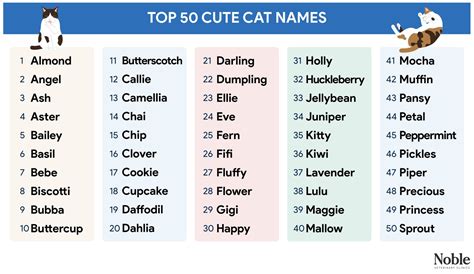 300 Best Cat Names Choose The Perfect Name For Your Kitty