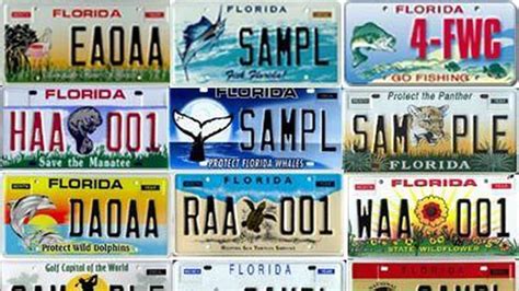 Types Of Florida Specialty License Plates At Kathy Lighty Blog