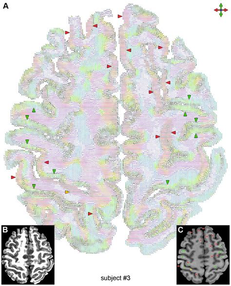 Color Coded Map Of The Principal Eigenvector A Fa Map B And