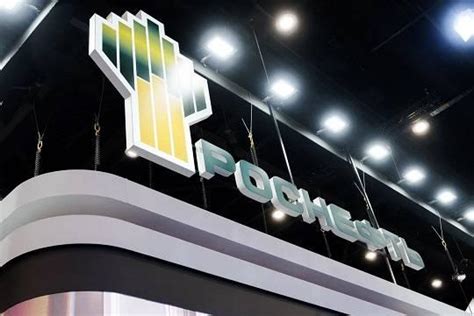 Игорь Сечин в рамках ПМЭФ оценил роль альтернативных источников энергии