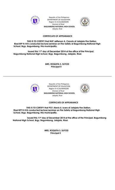 Drrm Action Plan Bdocx