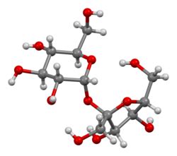 3d Sucrose Molecule