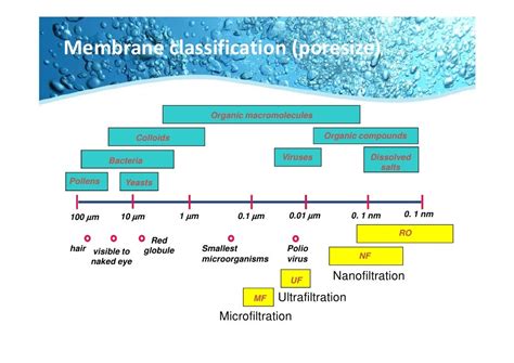 Filtration Membrane Classification At Dianne Campbell Blog