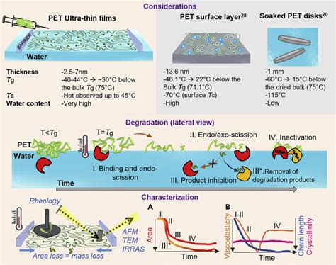 Rapid Depolymerization Of Poly Ethylene Terephthalate Thin Films By A Dual Enzyme System And