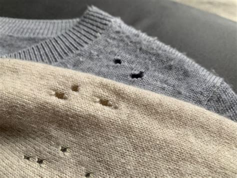 Los 5 Culpables De Los Misteriosos Agujeros En La Ropa