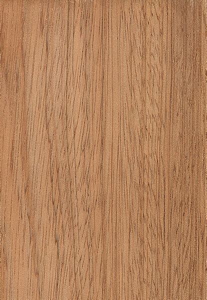 Nyatoh The Wood Database Hardwood
