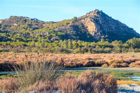 Dsc0716 Andreas Kellermann Flickr