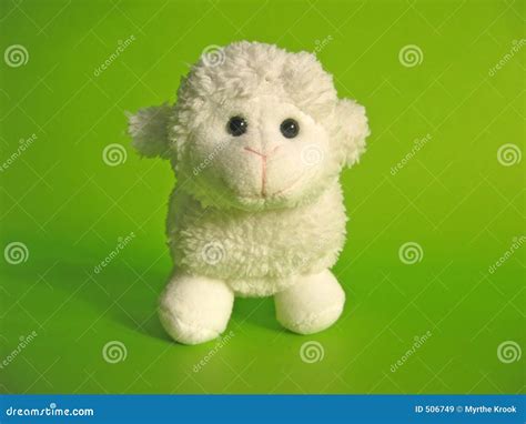 Little Lamb Toy Stock Image Image Of Wool Cuddle Spring 506749