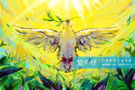 和平鸽 蓝牛仔影像 中国原创广告影像素材