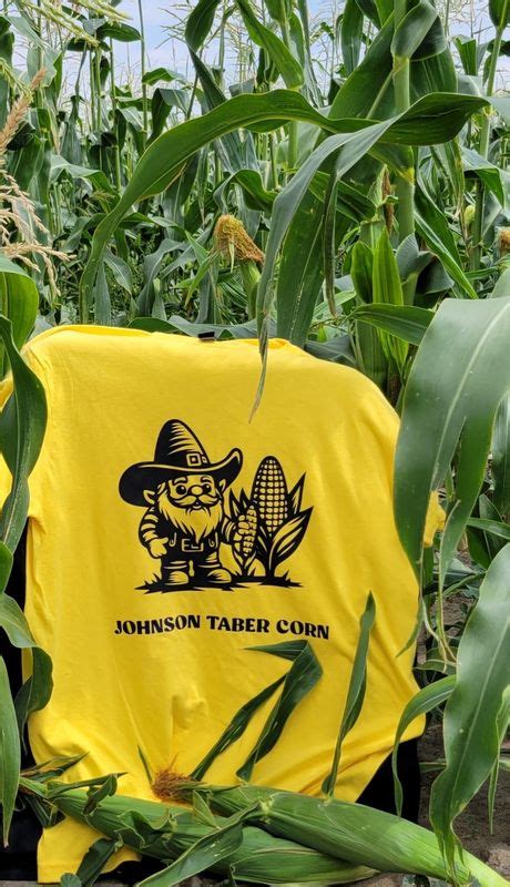 Gnome Johnson Taber Corn