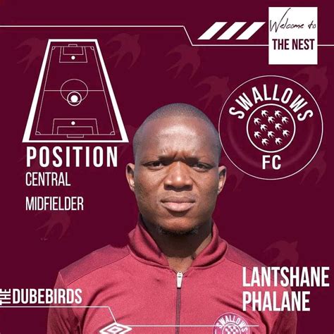 🚨 Swallows Fc Confirms The Signing Of Football News 247