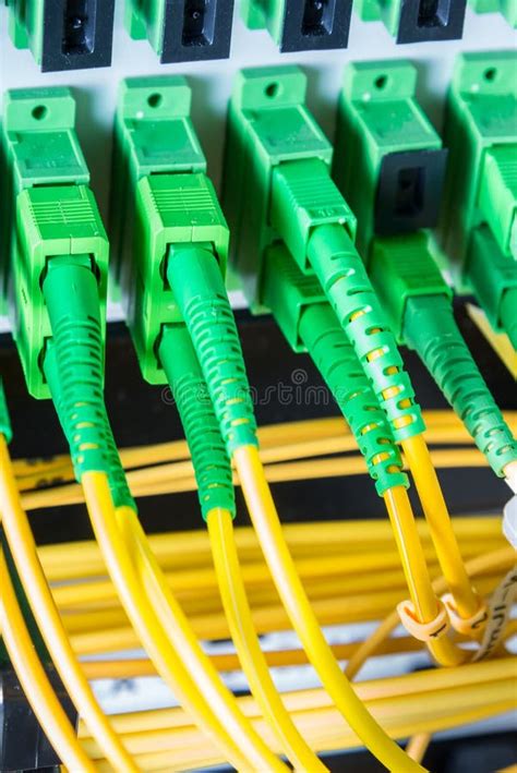 Fiber Optic Cables Connected To An Optic Ports Stock Image Image Of