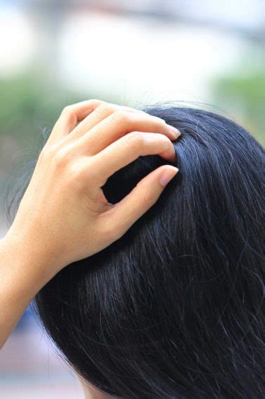 Improve Scalp Health Top Tips For The Season To Try At Home All Things Hair US