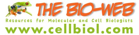 Oligocalc Justbio