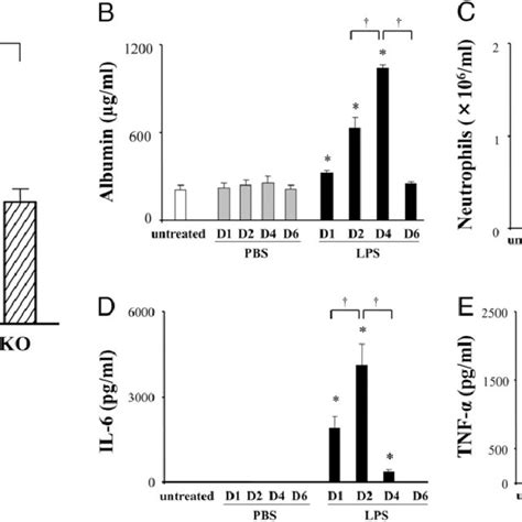Lps Activates Cd4 T Cells Lps 100 Mg Or Pbs Was Administered To