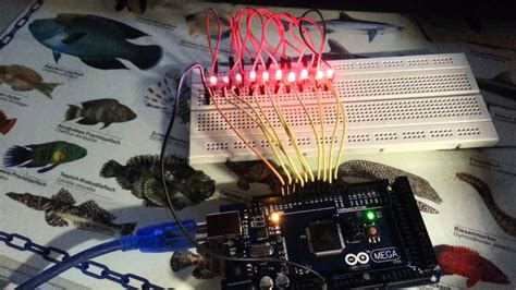 Sinus Function On An Arduino Mega By 10 Leds Youtube