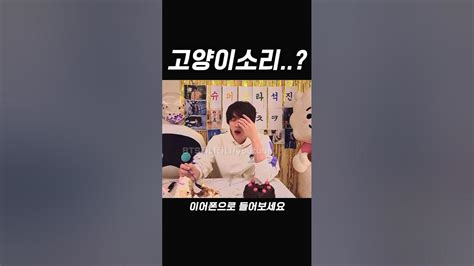 석진이 라이브 하는데 고양이 소리가 들린다 윤기 고양이 석진이 고양이 Youtube