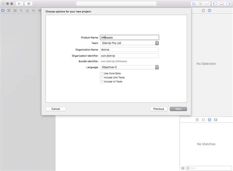Icons Launch Storyboards And The Assets Catalog Air Native Extensions