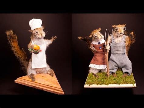 Go Nuts For This Taxidermy Squirrel Art Youtube