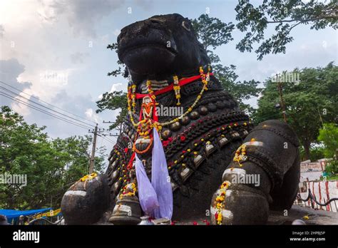 Statua Monolitica Di Nandi Toro Collina Di Chamundi Mysore India