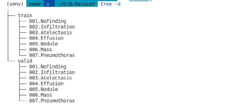 Initial Dataset Structure Used To Train Models Download Scientific