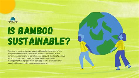 Is Bamboo Sustainable
