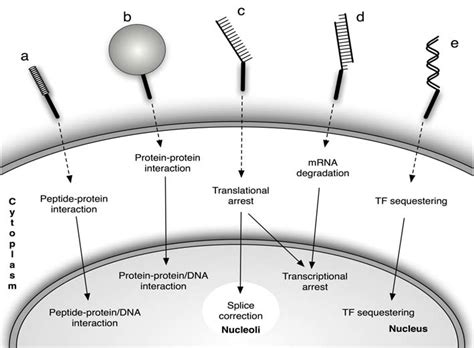 7 An Overview On A Selection Of Applications Of Cpps Cpps Have Either