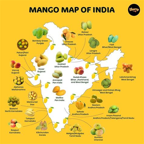 Guide To The Most Popular Mango Varieties In India
