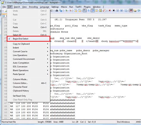 Xer File Slow To Import To P6 Try Cleaning Pobs Data