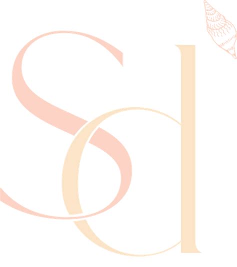 About Summer Daze Media