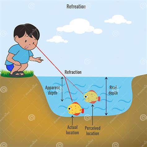 real example of refraction of light vector illustration stock vector