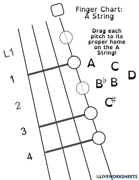 A String Notes Cello Live Worksheets
