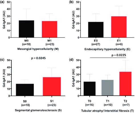 Serum Gd Iga1 Concentration According To Oxford Classification Mest