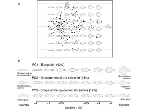 Principal Component Pc Analysis Calculated On The Matrix Of Fourier