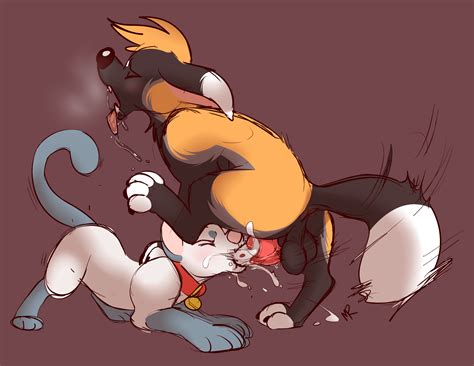 Rule 34 2015 Animal Genitalia Anus Balls Canine Canine Penis Closed