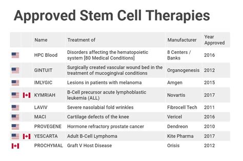 Stem Cell Therapy